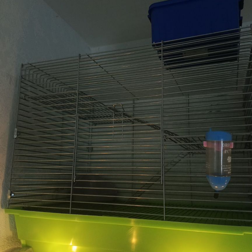 Клетка для грызунов большая