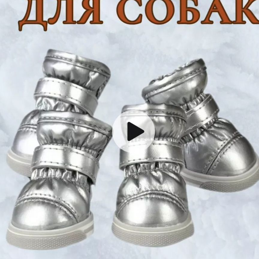 Обувь для собак мелких пород