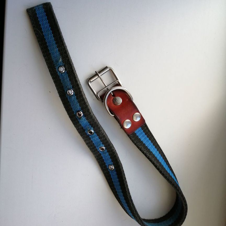 Разные товары для собак, миски, поводки