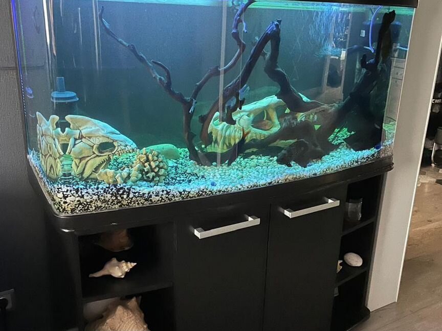 Аквариум Jebo,350 л, и оборудование