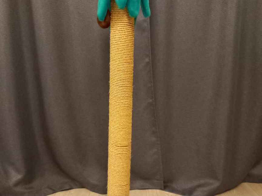 Кошачья когтеточка