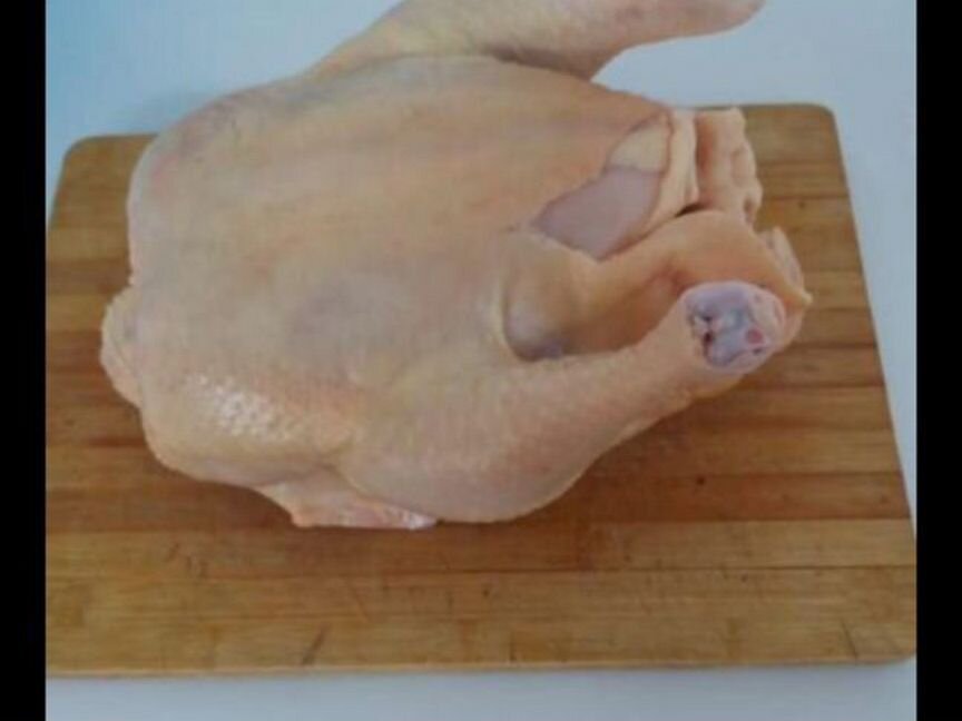 Курочки домашнии