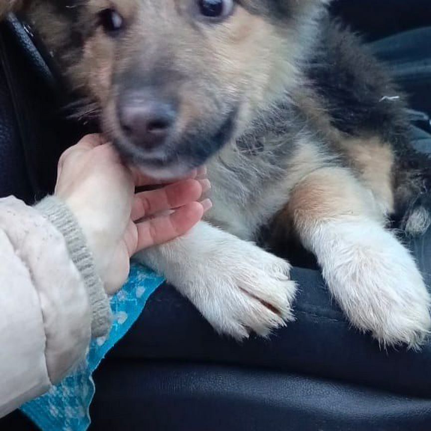 Мальчик 4 мес. сос подкидыш