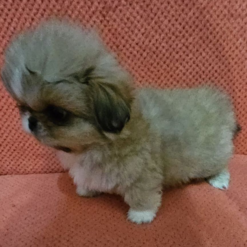 Супер парень