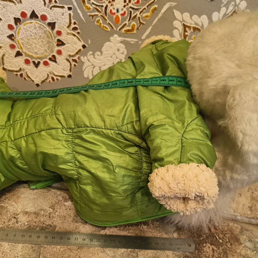 Одежда для собак мелких пород