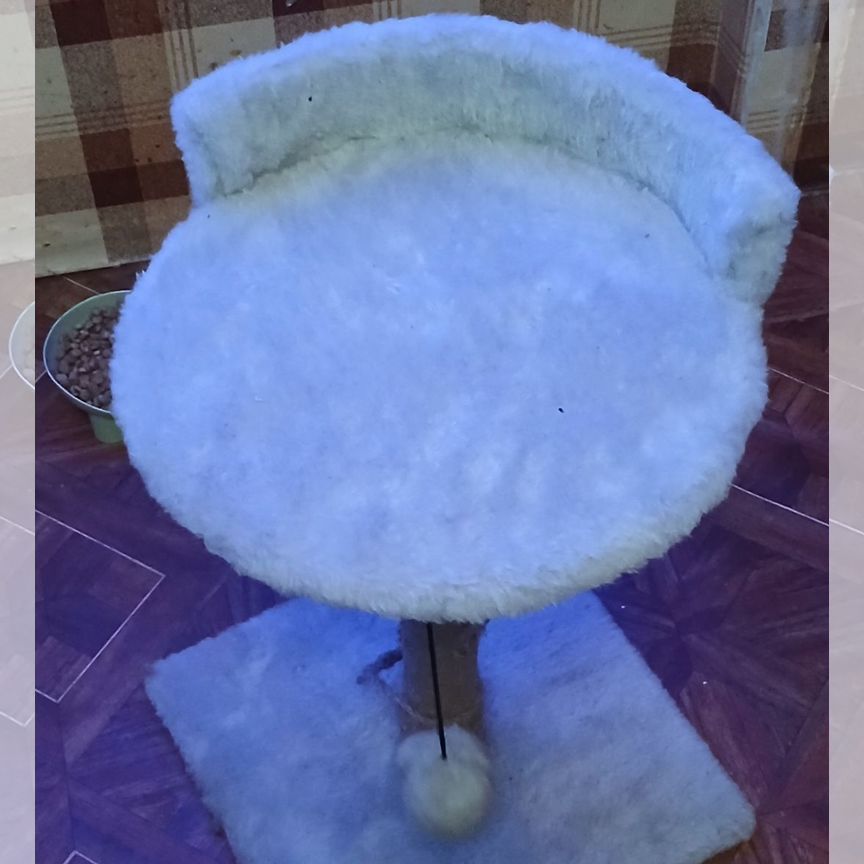 Когтеточка