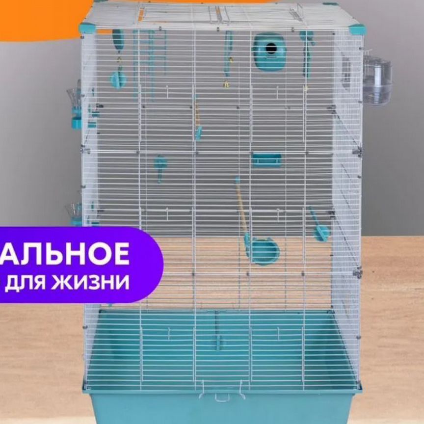 Попугай