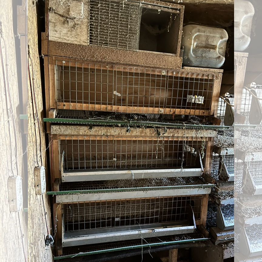 Клетки для бройлеров и перепелов