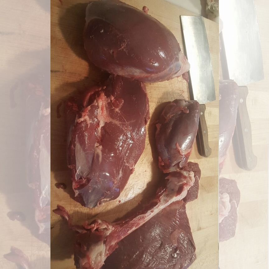 Корм для собак (говядина)