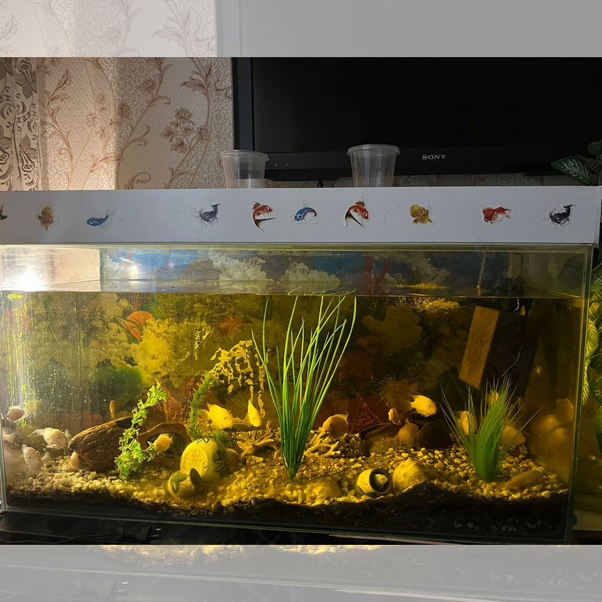 Продам аквариум 200л. Со всем, что в нём находится
