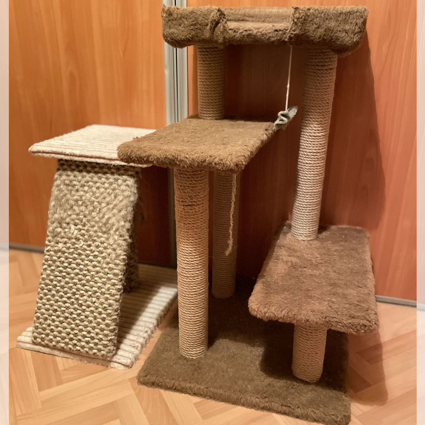 Когтеточка для кошки