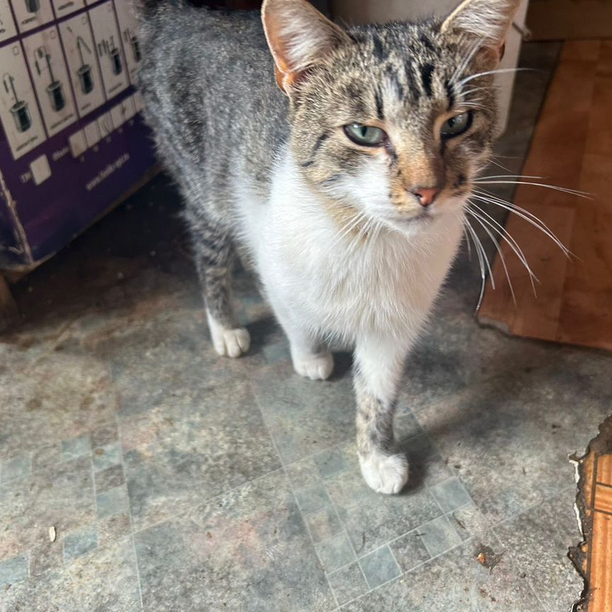 Помоги мне,человек