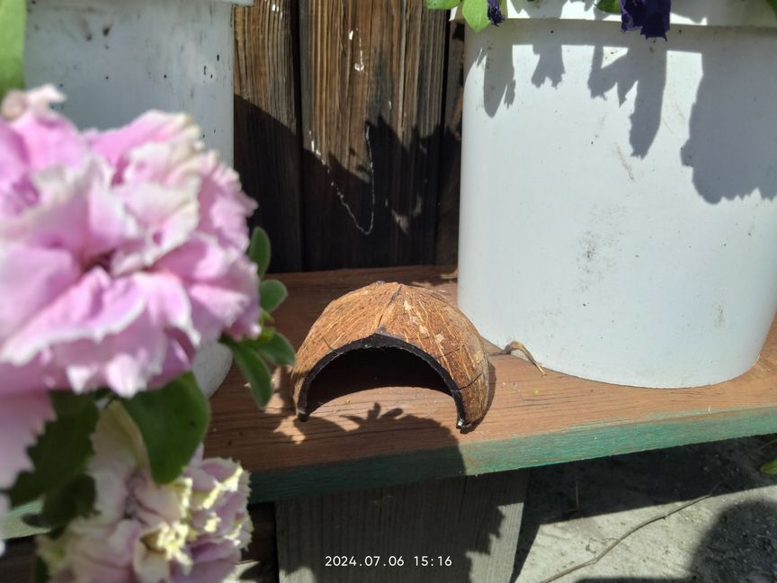 Домик для хомяка