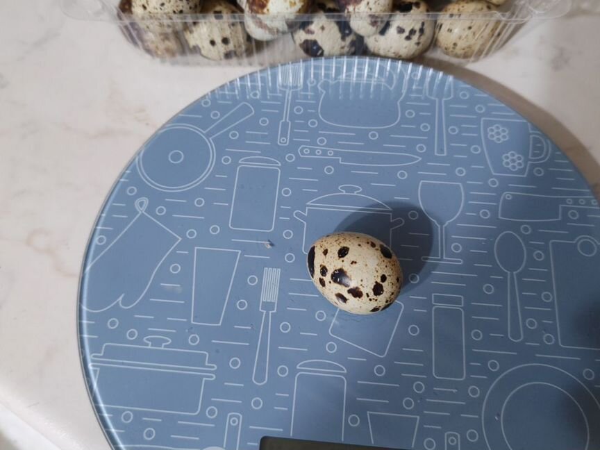 Яйца перепелиные инкубационное