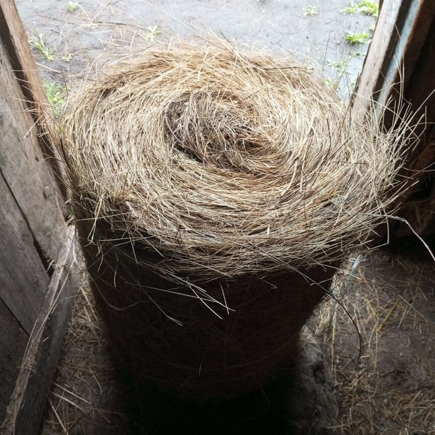 Сено в рулонах