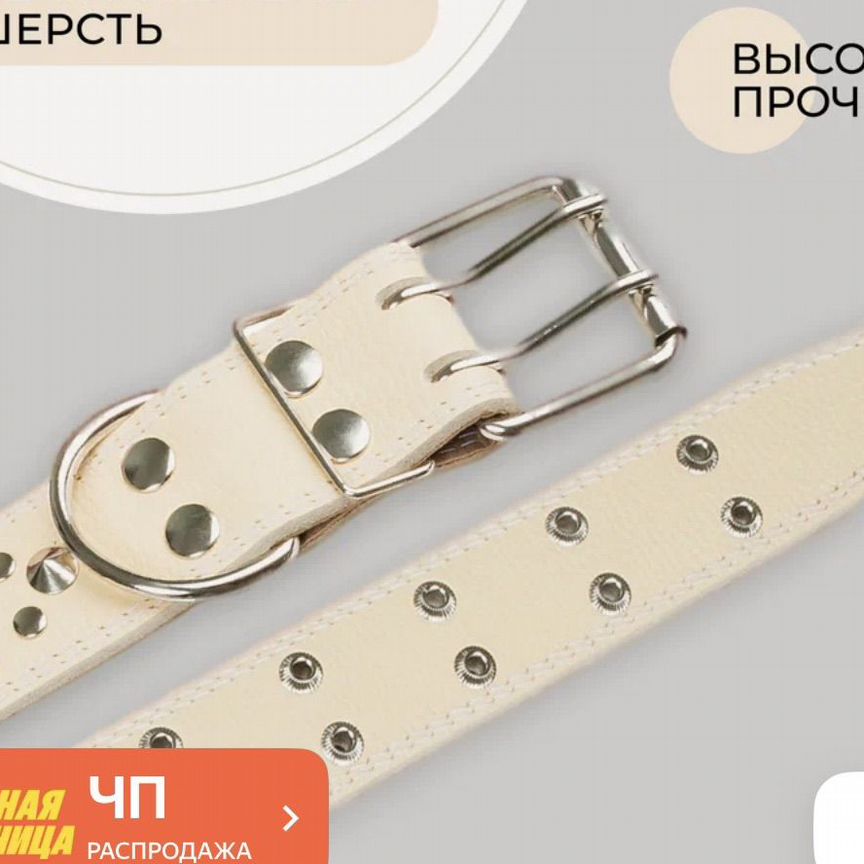 Ошейник для собак