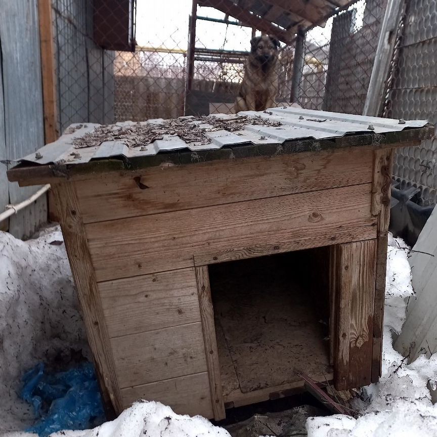 Будка для собаки утепленная бу