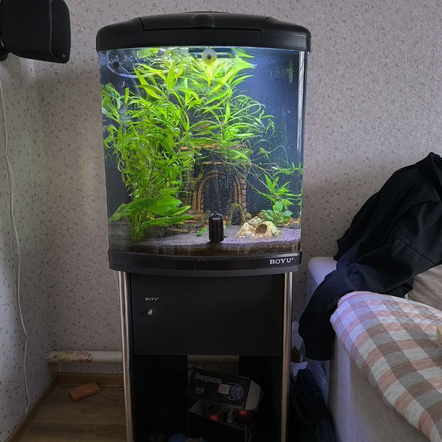 Аквариум с тумбой boyu 100 литров