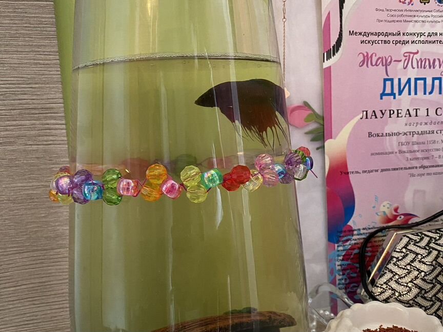 Петушок в дар (рыбка)