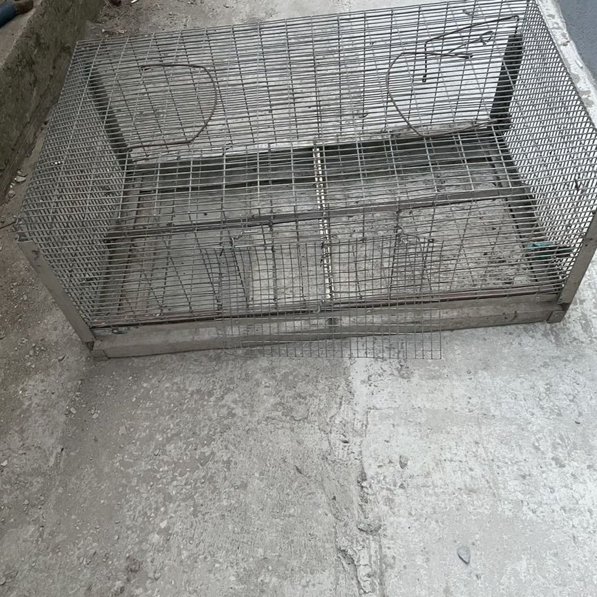 Клетка для цыплят