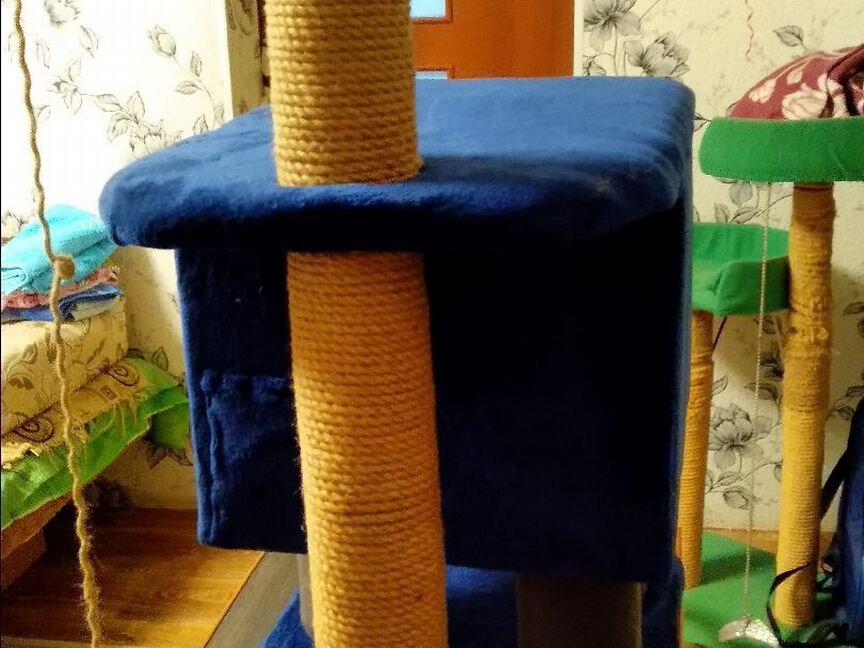 Когтеточка