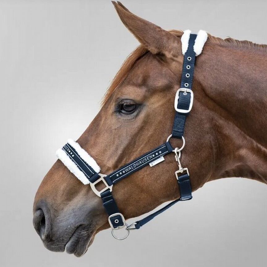 Недоуздок для лошади