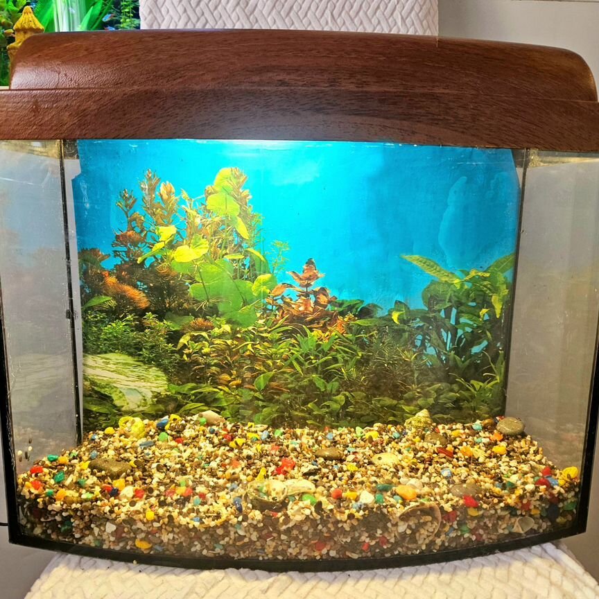 Аквариум полукруглый 30л