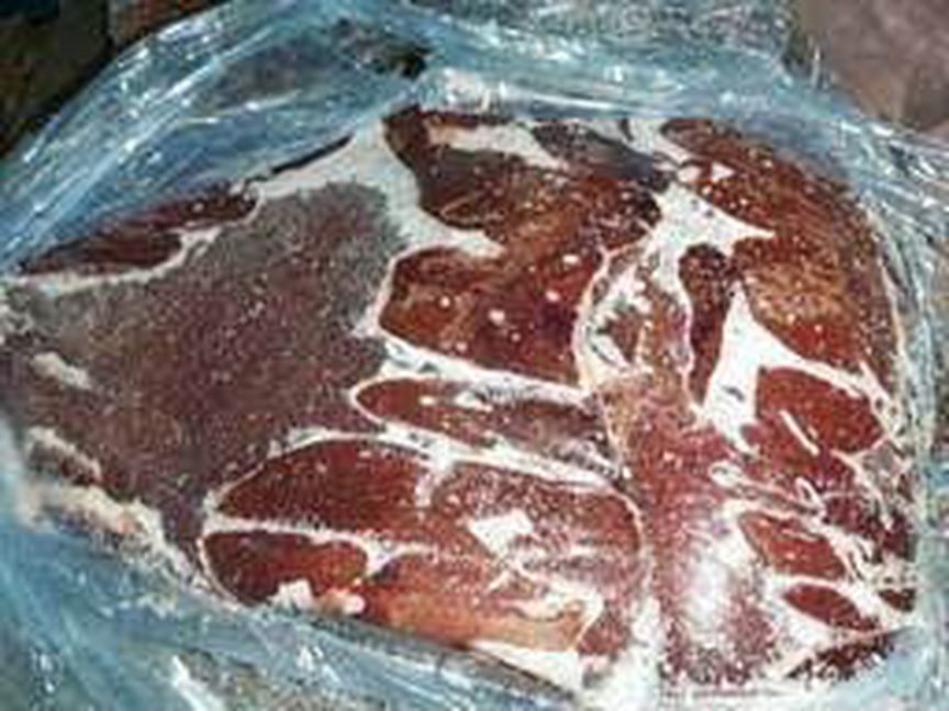 Селезенка говяжья