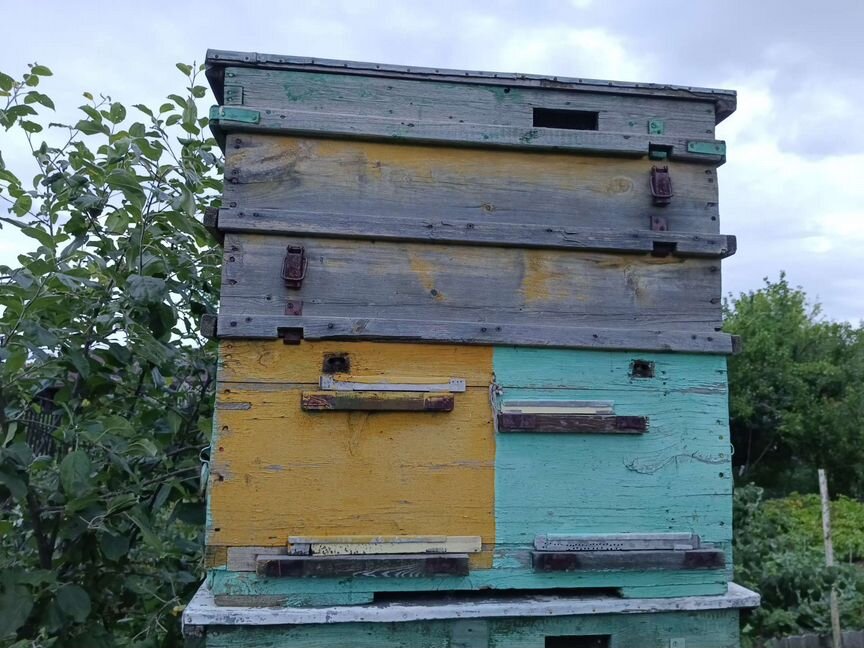Улей для пчел бу лежак