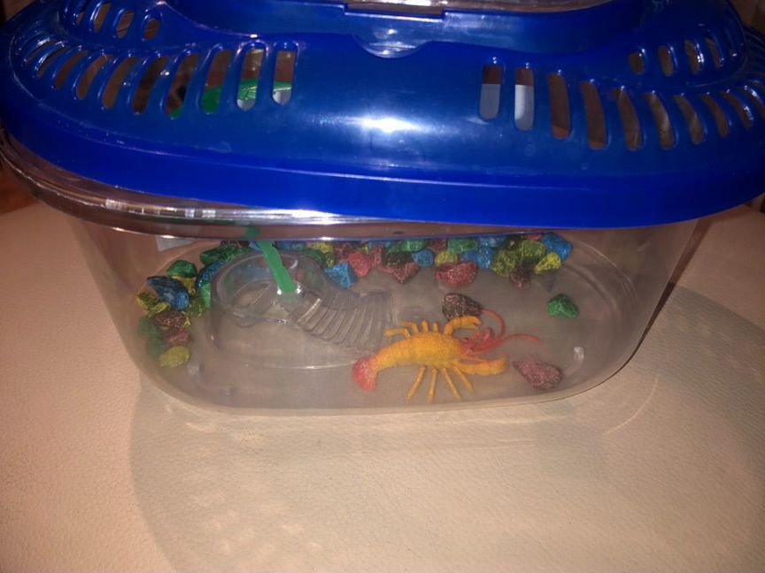 Пластиковый бассейн переноска