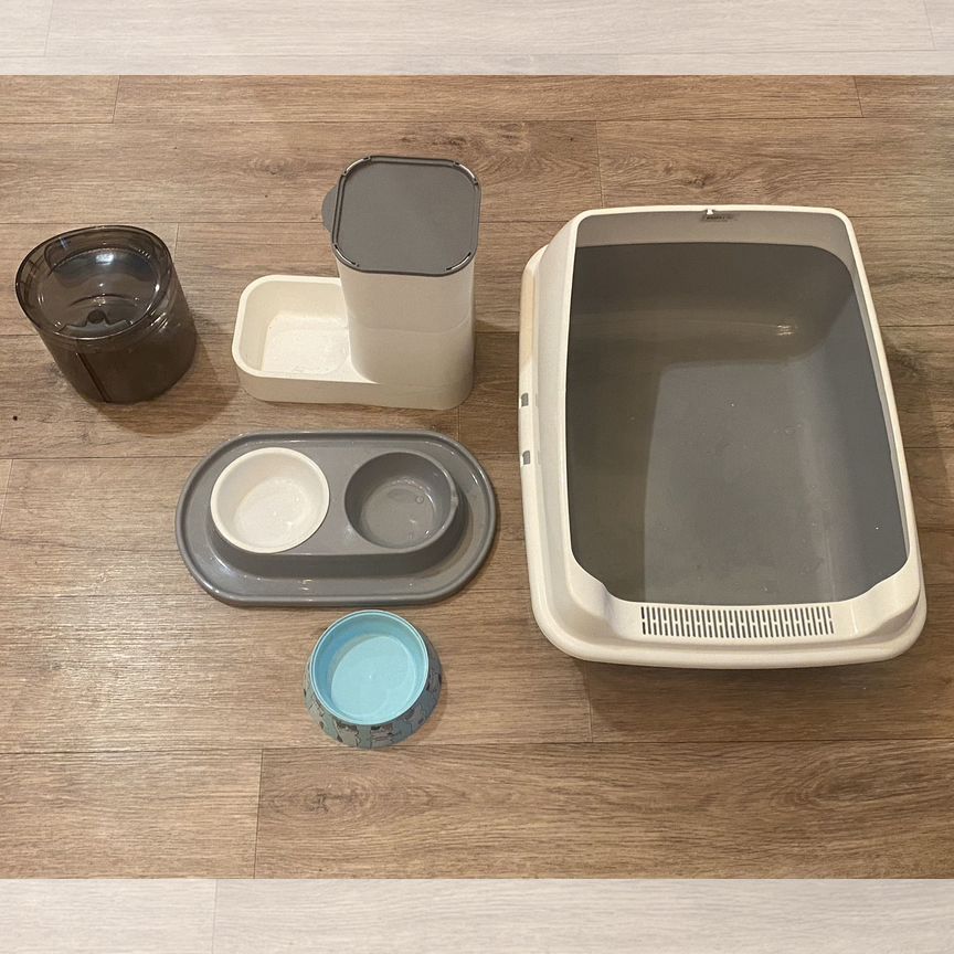 Все для кота/кошки