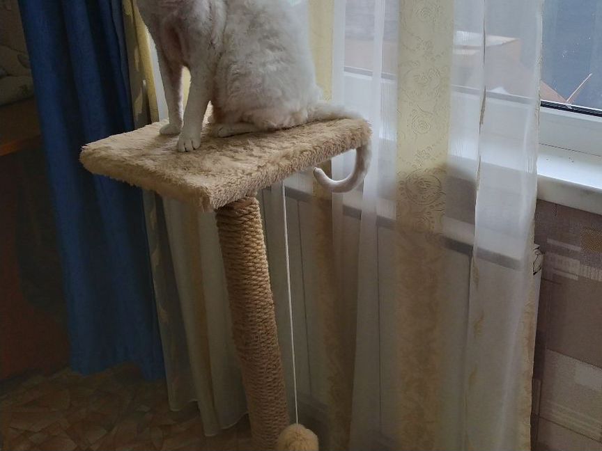 Когтеточка для кошек высокая