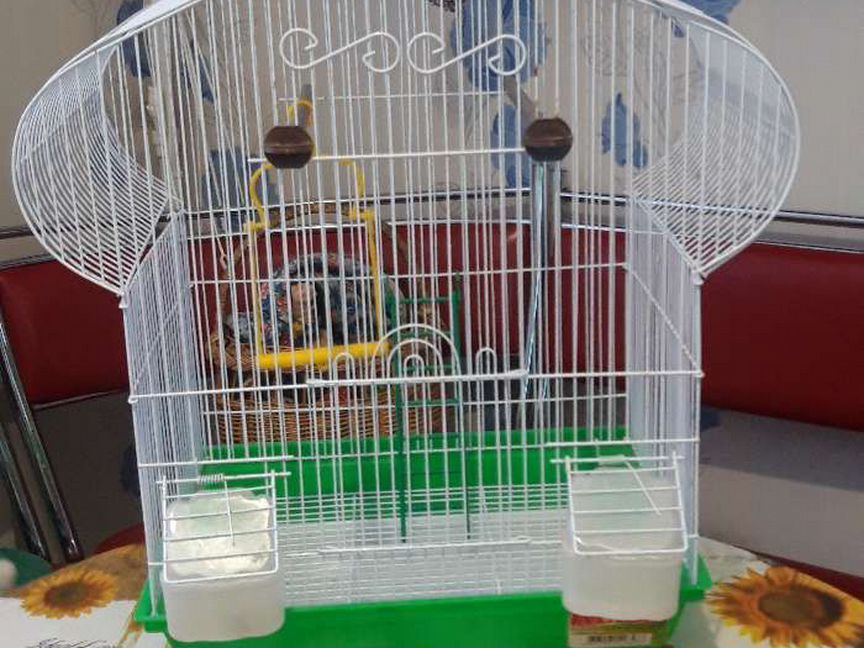 Клетка для попугая