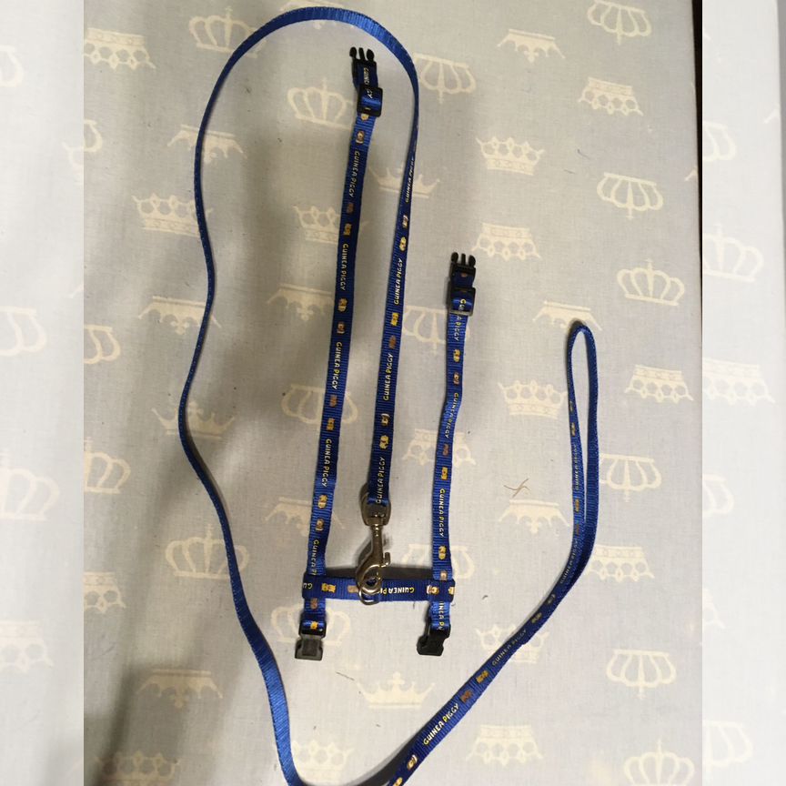 Шлейка для кошки