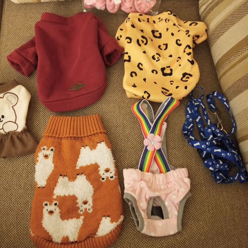 Вещички на маленькую собачку