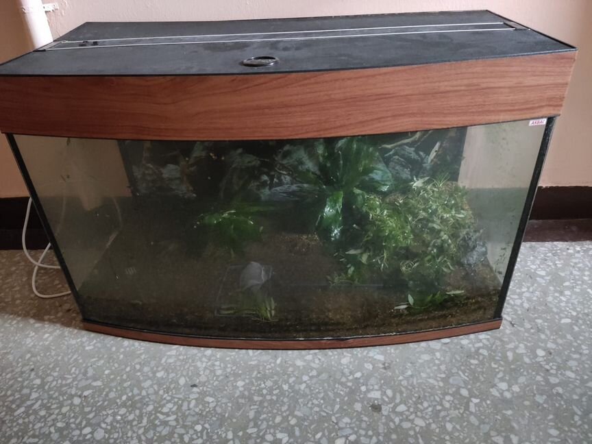 Аквариум 190 литров