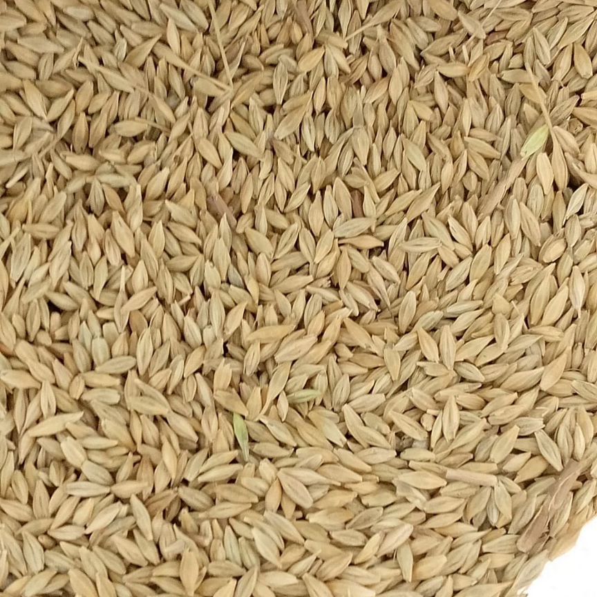 Ячмень в мешках 500 кг