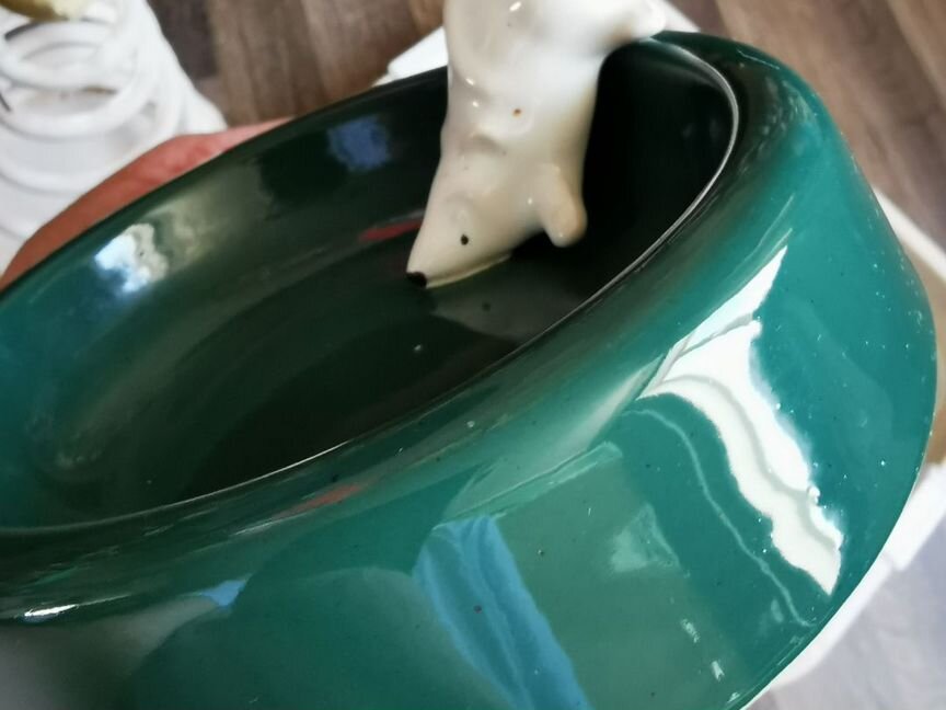 Принадлежности для кошек