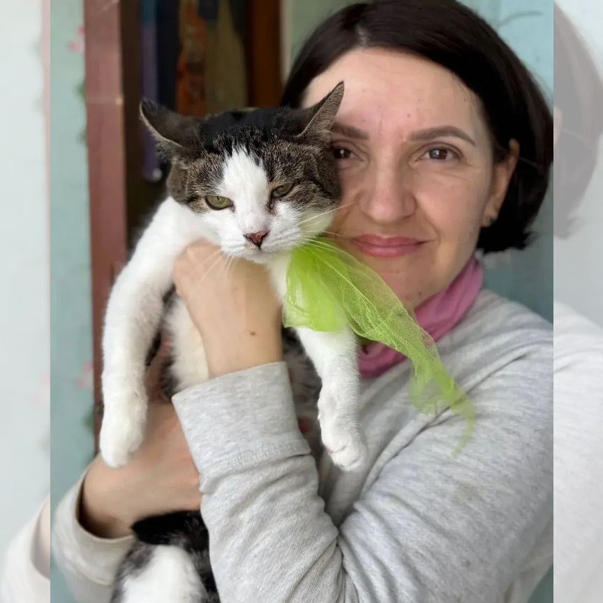 Взрослая, кошка в добрые руки