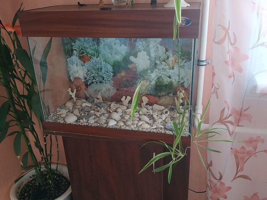 Аквариум с тумбой б/у