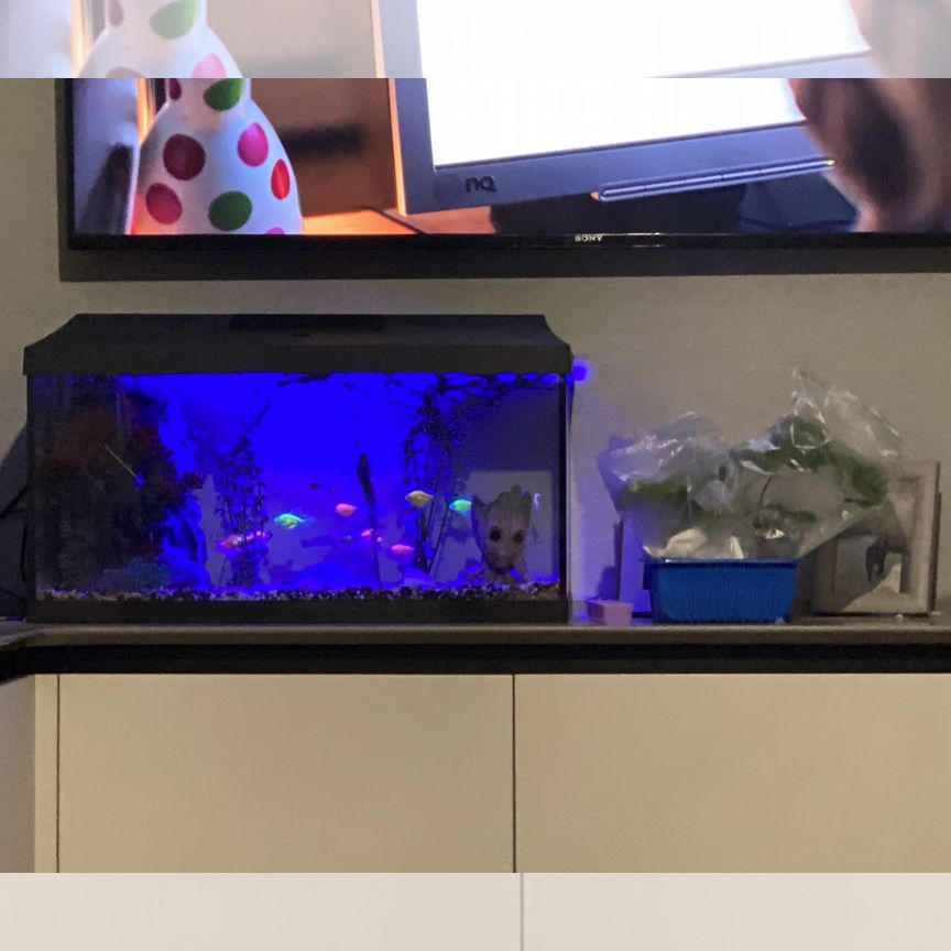 Аквариум aquael laddy 60