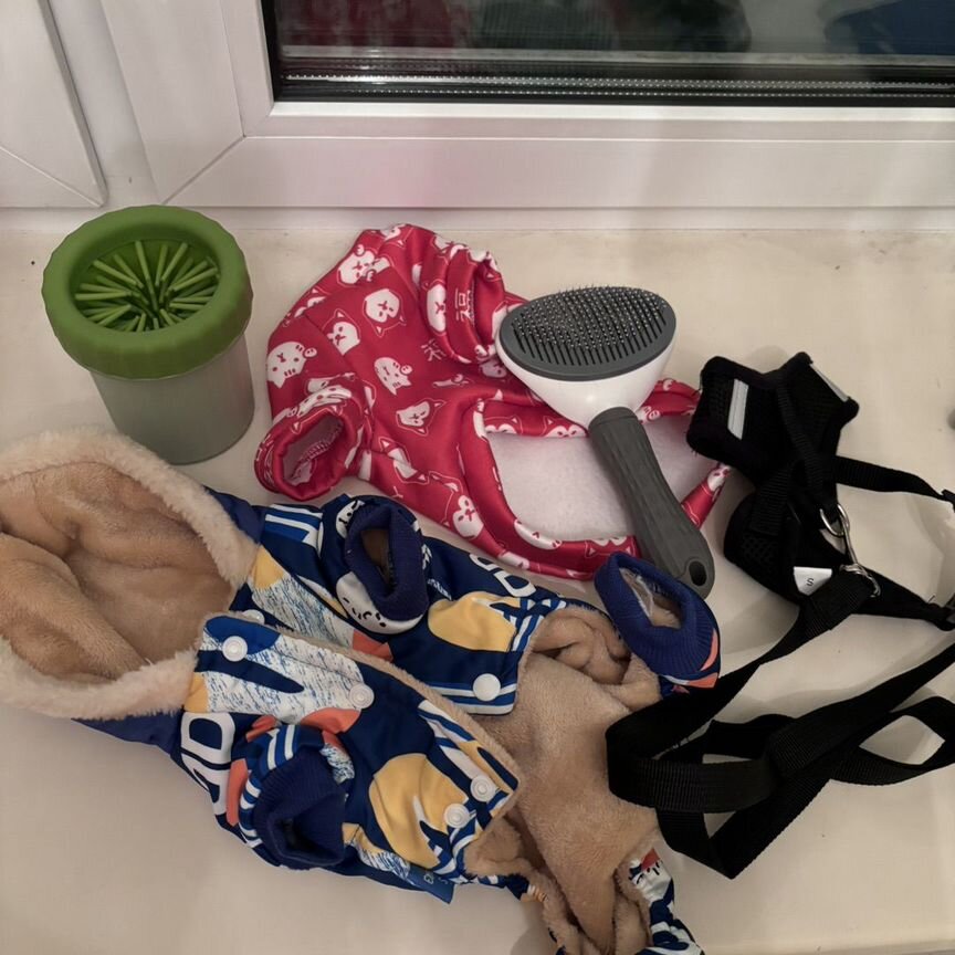 Принадлежности для щенка