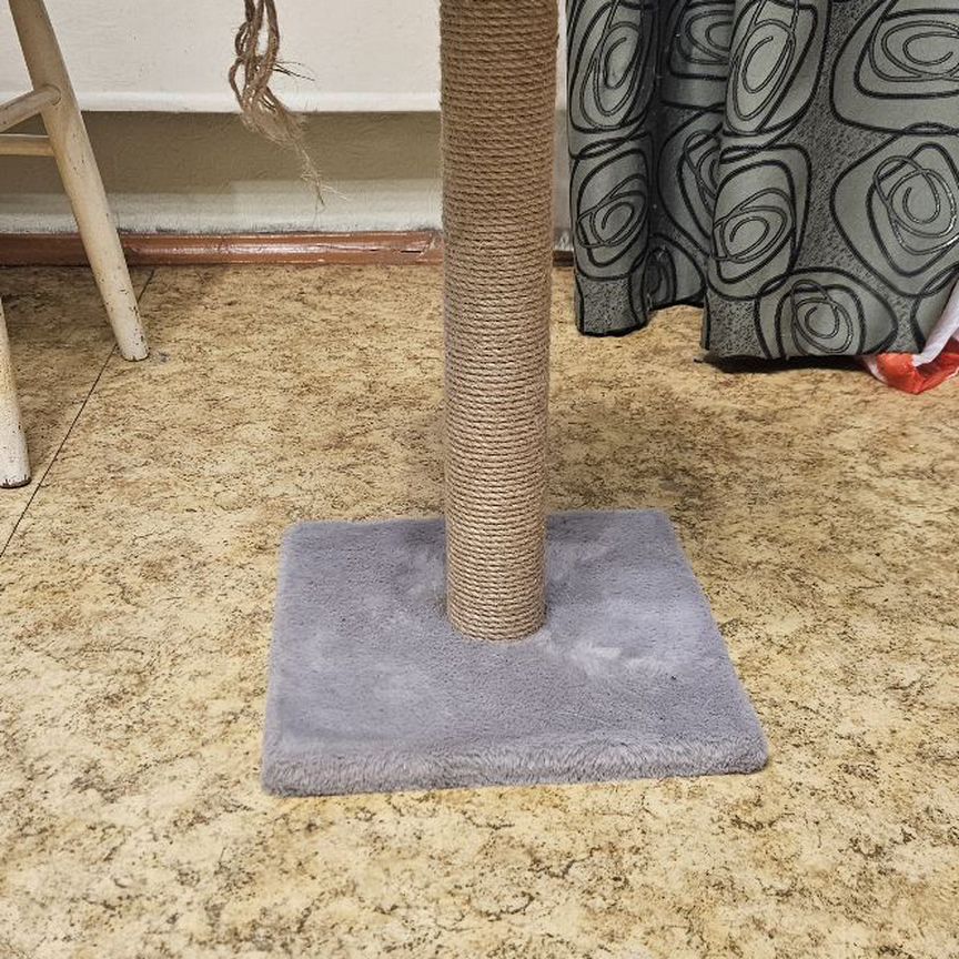 Вещи для кошек