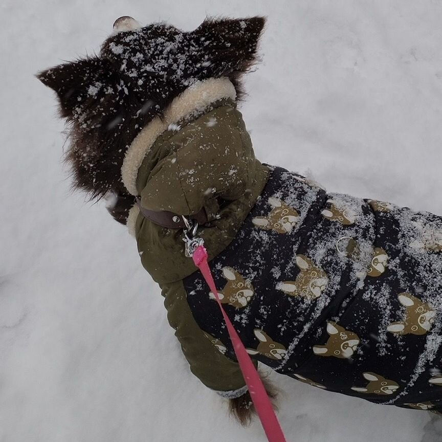 Зимний комбинезон для средней собаки