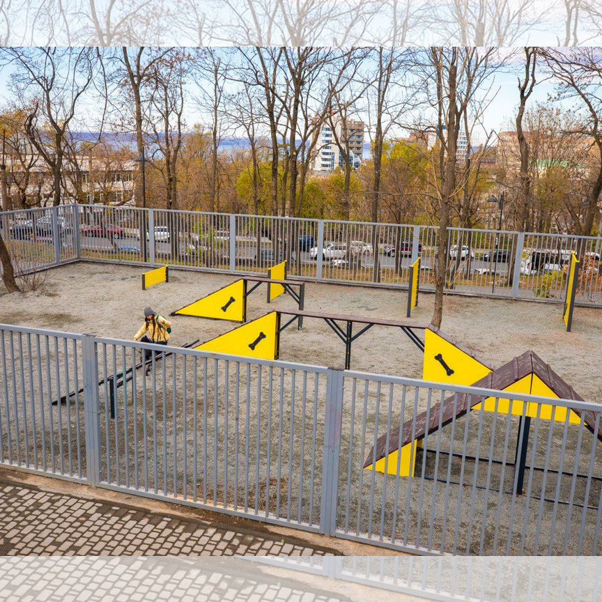 Площадки для дрессировки и выгула собак