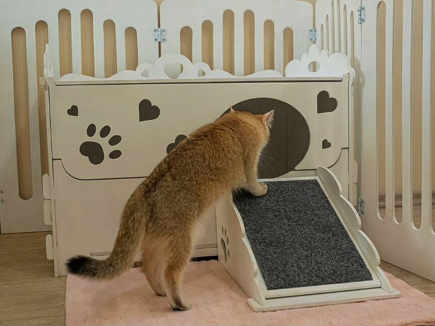 Родильный домик для кошек и котят