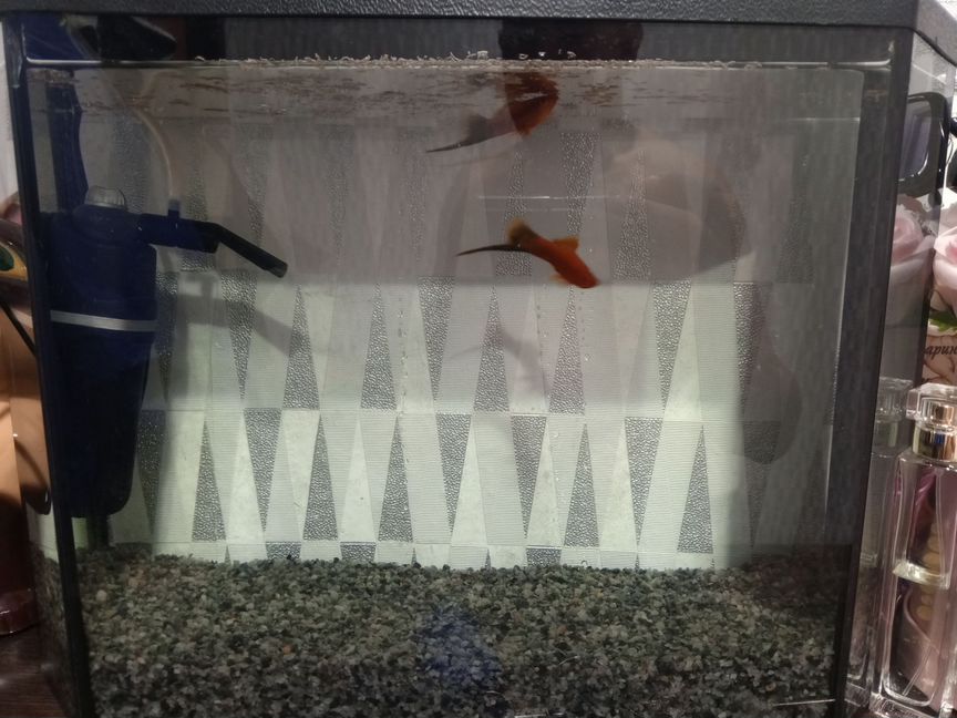 Аквариум с фильтром