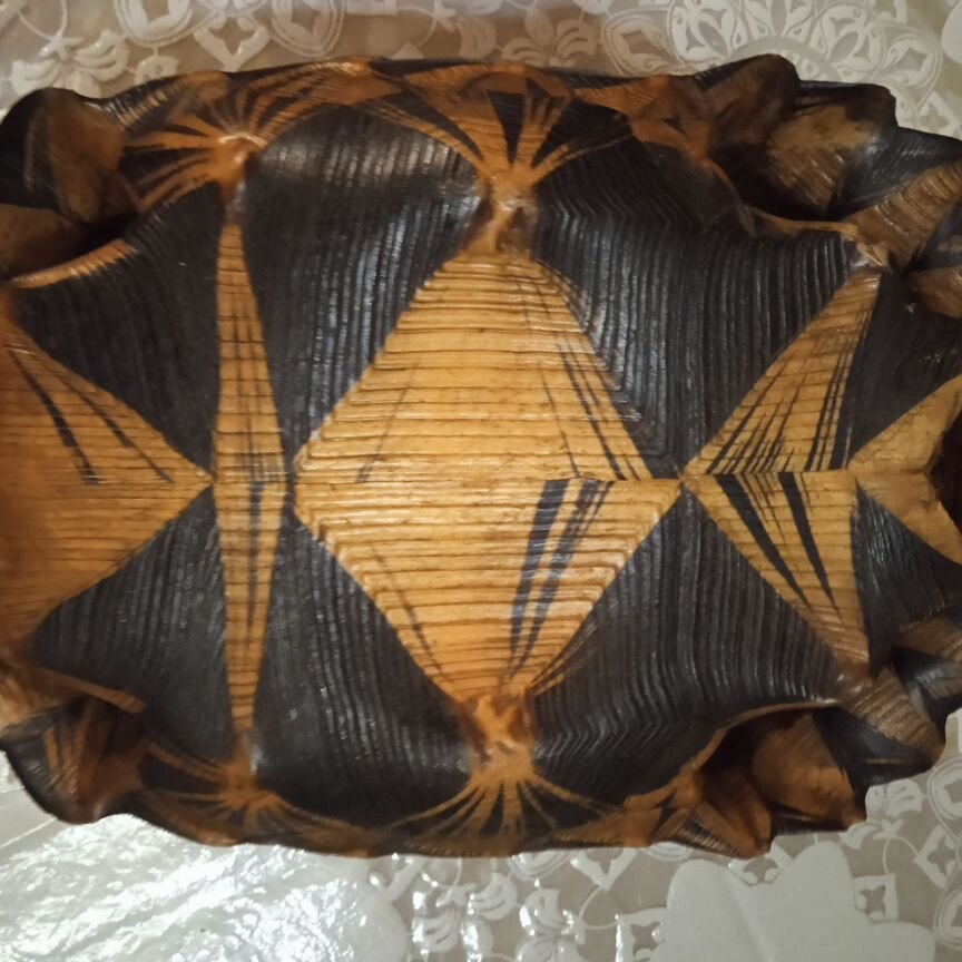 Панцирь черепахи,для террариума, интерьер