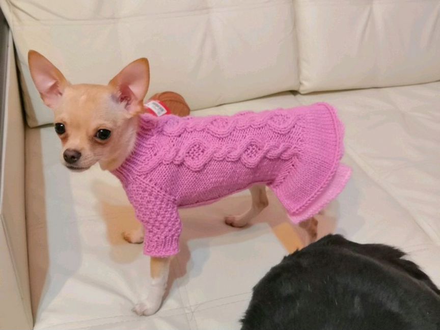 Свитер и платье для собачек и кошечек