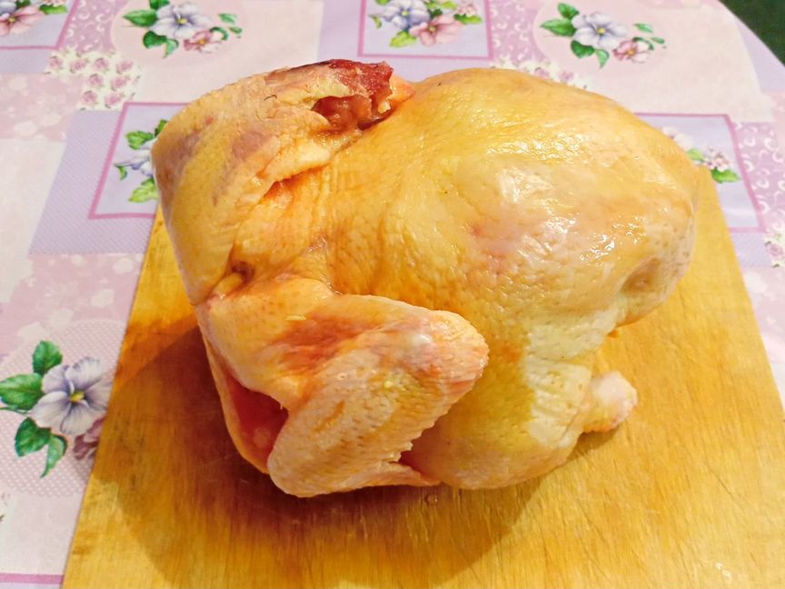 Бройлер домаш